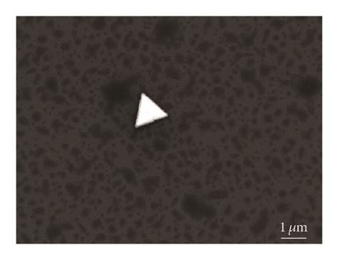A Sem Image Of A Well Patterned Cuso4 Solution Mixed With 2 Propanol