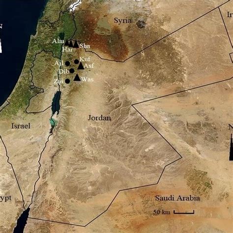 Redundancy Analysis Of Cone And Seed Traits And Mother Tree Download Scientific Diagram