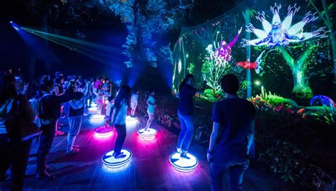 Our Services Pico Play Attraction Design Company