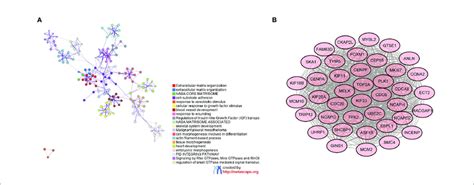 Gene Interaction Network Diagram And Key Gene Modules A Functional