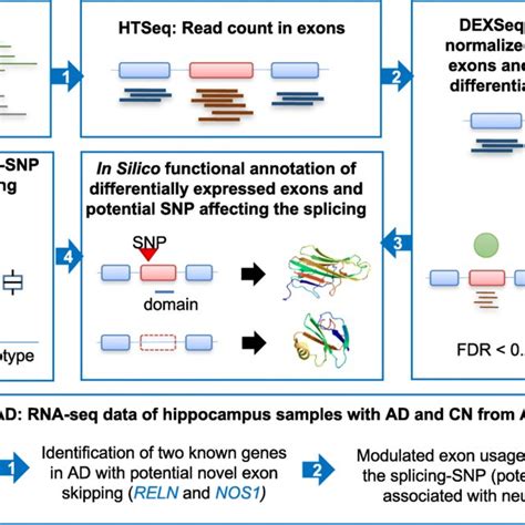 Computational Pipeline For Identifying Ad Associated Exon Skipping