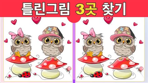 기억력 향상 프로젝트 사랑스러운 부엉이 커플 틀린그림찾기 Find The 3 Differences 집중력 기억력 다른