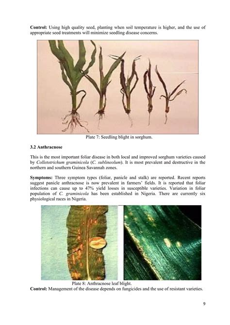 Handbook On Improved Agronomic Practices For Sorghum Production In