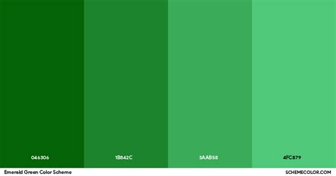Emerald Green Color Palette Code Adobe Ilrator Infoupdate Org