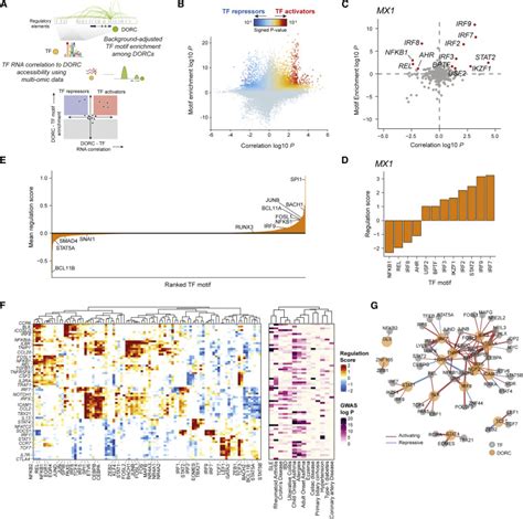Functional Inference Of Gene Regulation Using Single Cell Multi Omics Cell Genomics