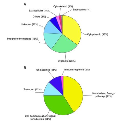 Subcellular Localization And Biological Process Of Differentially