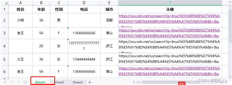 Java后端实现excel导入和导出后端导出excel数据 Csdn博客