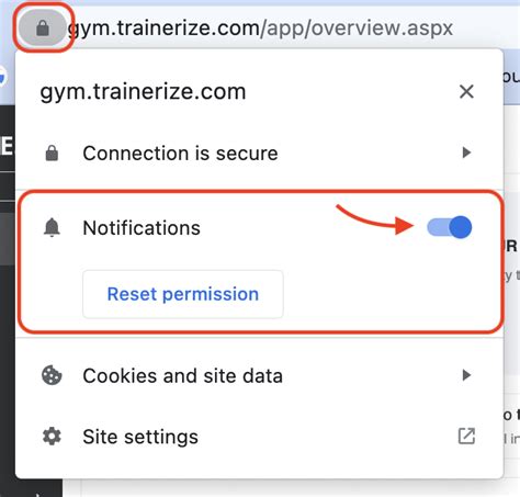 How To Enable Disable Browser Push Notifications ABC Trainerize Help Center