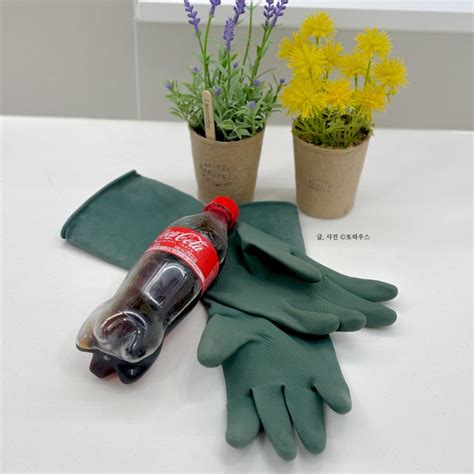 김빠진 콜라 활용법 그냥 버리지 마세요 살림 꿀팁 남은 콜라 사용법 네이버 블로그