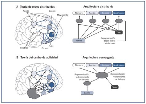 Bases NeurolÓgicas Del Sistema SemÁntico