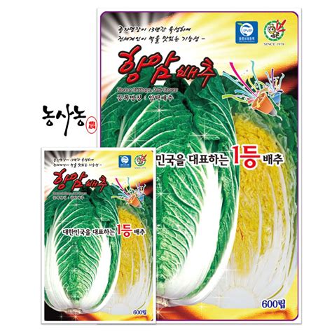 가을 맛있고 속노란 김장배추 항암배추 베타카로틴 베타배추 종류 파종시기 모종심기 네이버 블로그