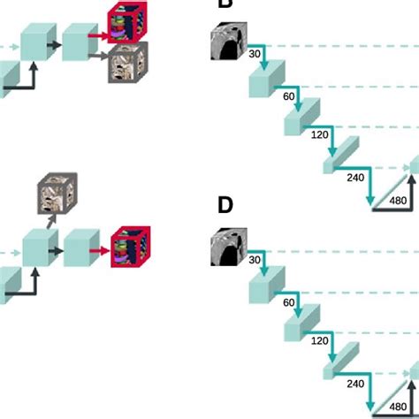 schematic of the four network architectures with dual segmentation