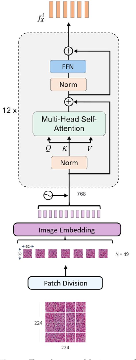 Figure 2 From Vision Language Model For Visual Question Answering In Medical Imagery Semantic