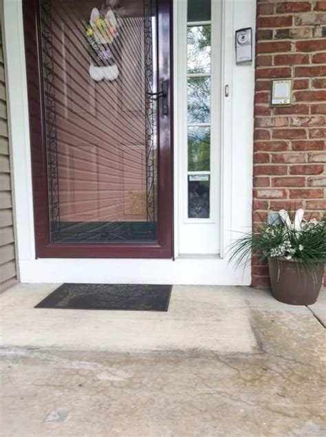 اگر ادعا میکنید تیز بین هستید ،با پیدا کردن ۲۵ گربه پنهان در این تصاویر