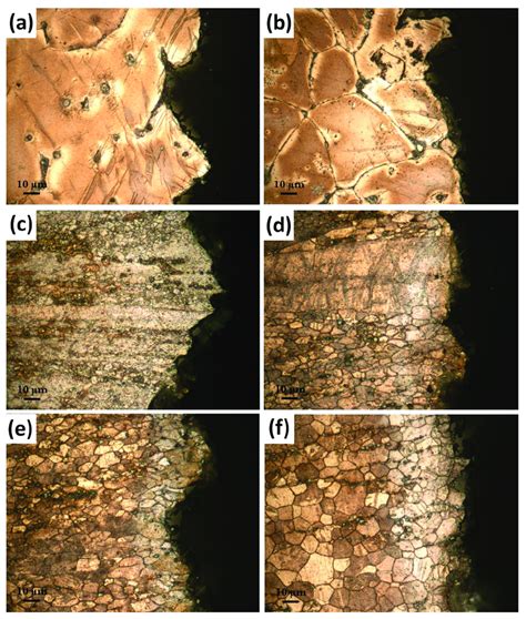 Cross Section Optical Micrographs Of The Fractured Samples A