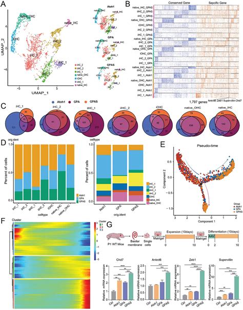 Single‐nucleus Transcriptomic Analysis And Cell Trajectory Analysis Of Download Scientific