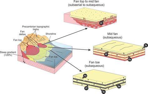 Block Diagram Showing Trace Fossil Distribution In Cambrian Fan Delta