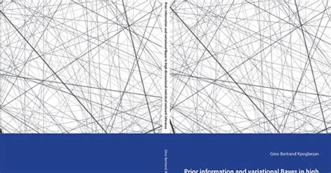 Prior Information And Variational Bayes In High Dimensional Statistical Network Inference