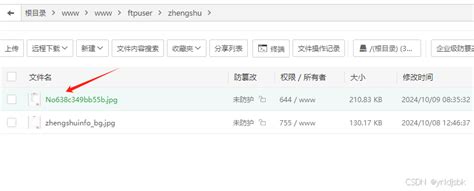 Springboot 网站开发 Linux服务器部署jar格式图片存档路径问题linux系统中 Jar包里图片路径 Csdn博客