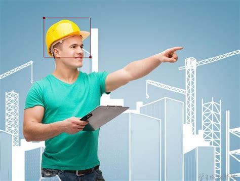 Image Multi Label Classification Paddlex Documentation