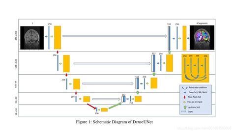 2d denseunet based脑胶质瘤分割brats 论文翻译 代码实现 mindboggle101数据集 csdn博客