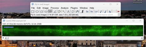 Cellpose 3 0 Not Able To View Image Correctly If It A Straightened Dendrite Image Analysis