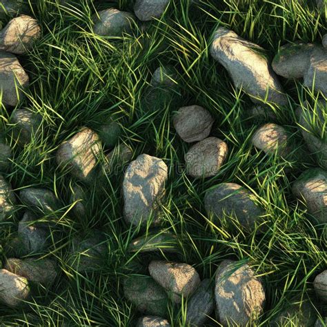 Seamless Texture Of Wild Grass Mixed With Small Stones Scattered