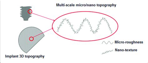 Schematic Representation Of The Multi Scale Surface Topography Download Scientific Diagram