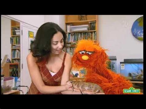 Sesame Street 4163 Og Pbs Broadcast Preview Youtube