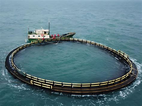 Hdpe Pipe Pressure Rating Puhui Industry