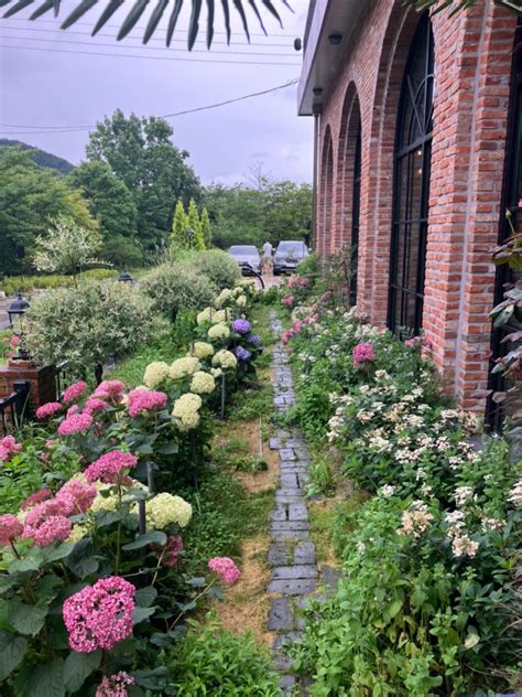 무주 덕유산 자연휴양림 예약방법 및 방문후기 근처 카페 추천까지캠브런치 카페브라운 네이버 블로그