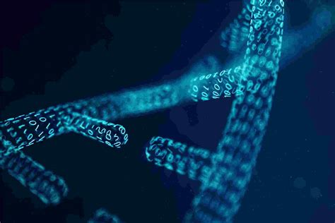 High Throughput Biology Services Formulation Boc Sciences