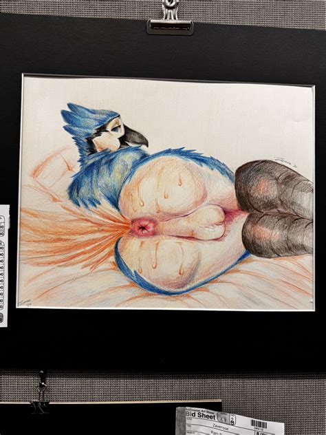 Nsfw Avian Bluejay Traditional Colored Pencil Fullbody Butt Backsack