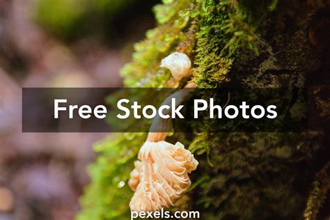 Log Color Grading Vedios Photos Download The Best Free Log Color
