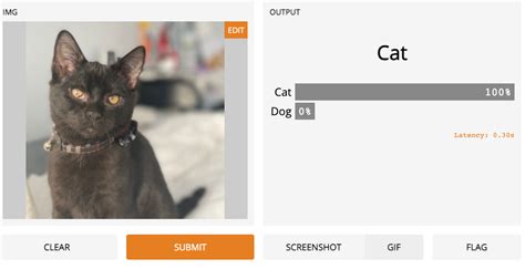 Creating A Simple Image Classification Machine Learning Demo With Gradioml Towards Data Science