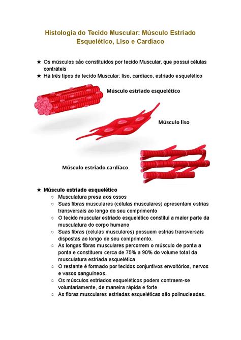 Microscópios ópticos E Métodos De Observação Citologia Microscópios
