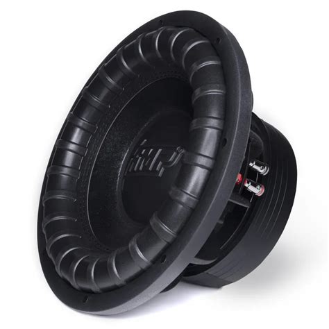 Сабвуферный динамик AMP MASS 1000 12D2 (2+2 Ом, RMS1000) купить в ...