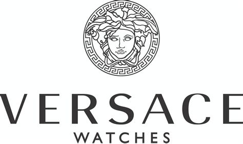 Versace V Code Chrono Ve0ca0224 Herrenuhr Chronograph Edelstahl Silber Gold Ts Time