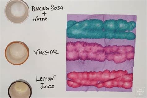 How To Make Ph Paper With Red Cabbage Investigatory Project