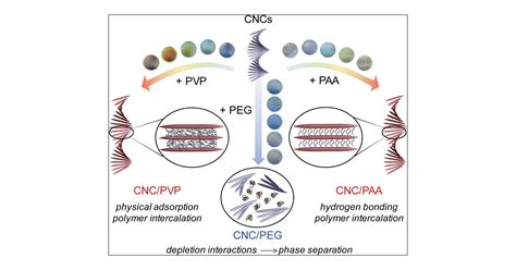 Coassembly Of Cellulose Nanocrystals And Neutral Polymers In Iridescent Chiral Nematic Films