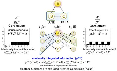 Tutorial By G Tononi April 4 2014 The Integrated Information Theory Of Consciousness Iit