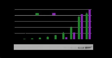 Htrf Human Total Ddr1 Detection Kit