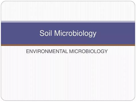 PPT Soil Microbiology PowerPoint Presentation Free Download ID 966927
