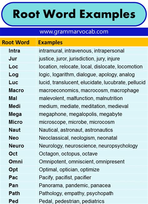 Root Words Root Word Examples Grammarvocab