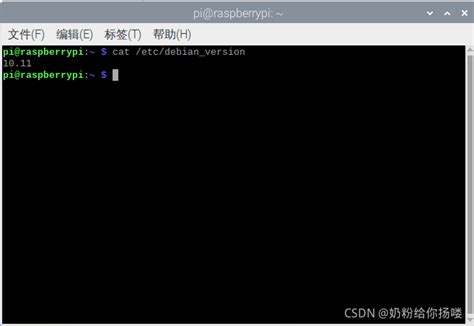 Raspberry Pi 树莓派 4b 安装python3 Opencv 完整过程记录超级详细【教程】berryconda Csdn博客