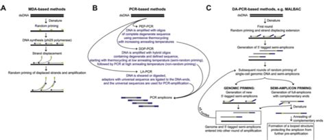 单细胞测序教程 Public Library of Bioinformatics