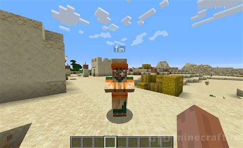 Датапак Villager Names для Майнкрафт 1195118211711144 бесплатно