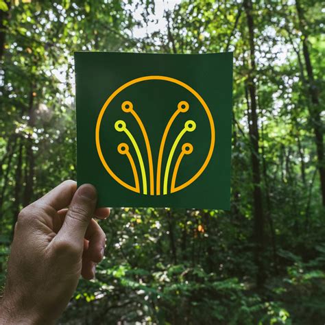 Why Fiber Internet Is Sustainable For Your Business Pavlov Media