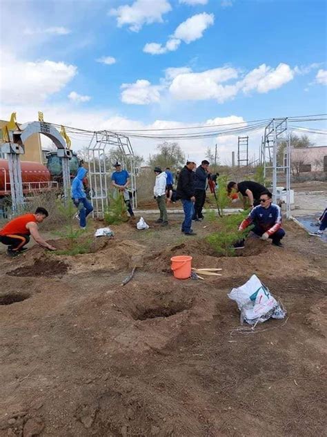 Тэрбум мод үндэсний Хэнтий аймаг дахь Политехник коллеж