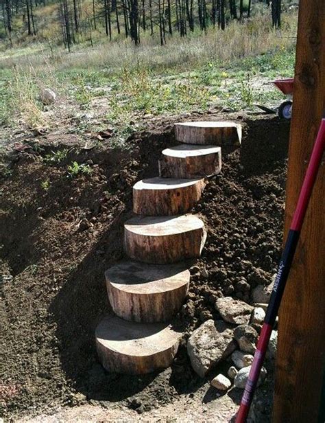 Amazing DIY Tree Log Projects For Your Garden